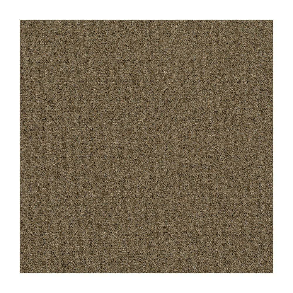 Mohawk 24 in. x 24 in. Textured Loop Carpet - Advance -Color Biscotti ...