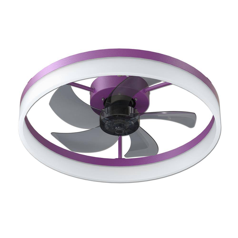MODERN HABITAT Dusen 20 in. LED Indoor Purple Ceiling Fan Light with ...