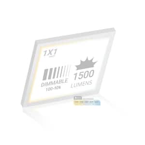 NuWatt 1 ft. x 1 ft. 120V Surface Mount 1500LM Integrated LED Panel ...