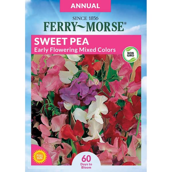 Ferry-Morse Sweet Pea Early Flowering Mixed Colors Flower Seeds 1158 ...