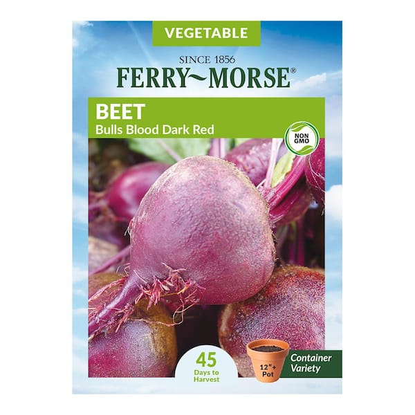 Ferry-Morse Beet Bulls Blood Dark Red Vegetable Seeds 2930 - The Home Depot