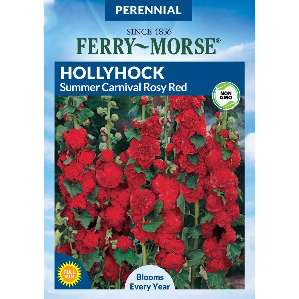 Ferry-Morse Hollyhock Summer Carnival Rosy Red Flower Seeds 5820 - The ...