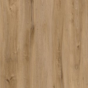 Dekorman Take Home Sample-Golden Wheat Oak 20 MIL x 9 in. W x 12 in. L ...