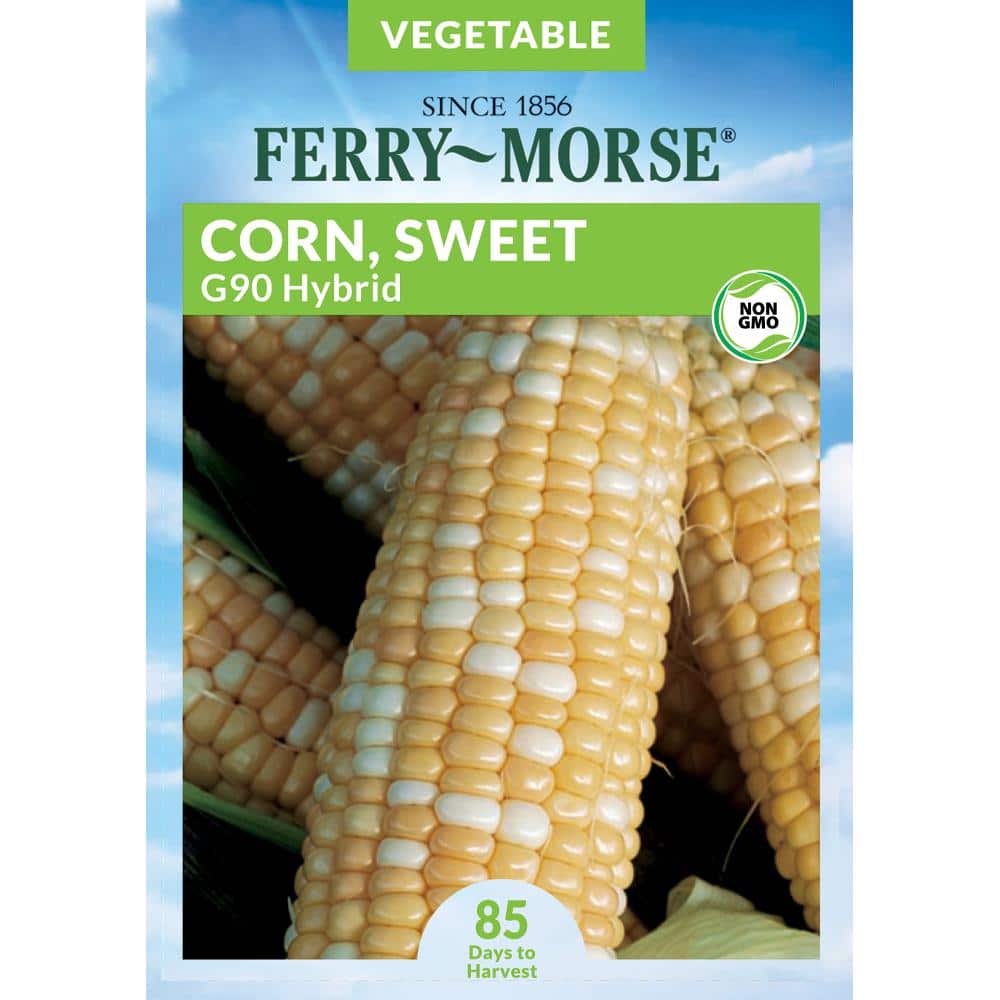 Ferry-Morse Sweet Corn G90 Hybrid Vegetable Seeds 4175 - The Home Depot