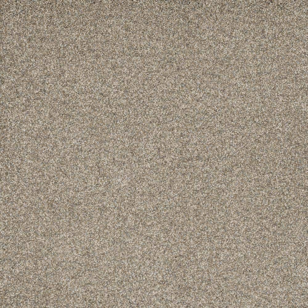 Home Decorators Collection Bradmore I - Zeal - Beige 45 oz. SD ...