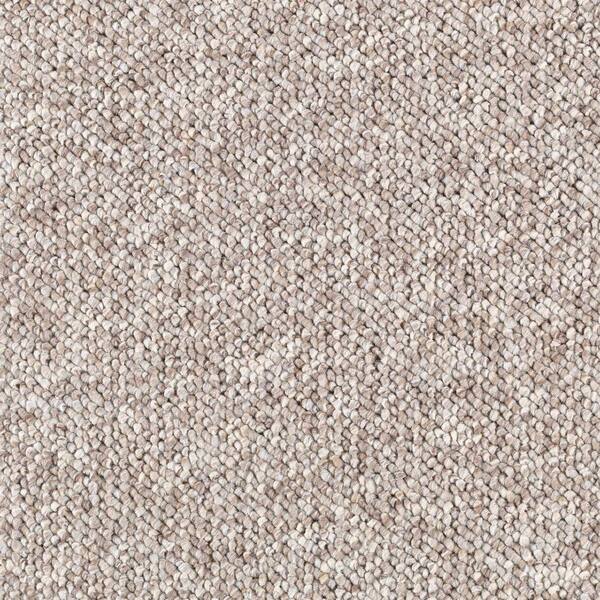 TrafficMaster Tidewater - Color Mesa Tan 12 ft. Carpet 0478D-25-12 ...