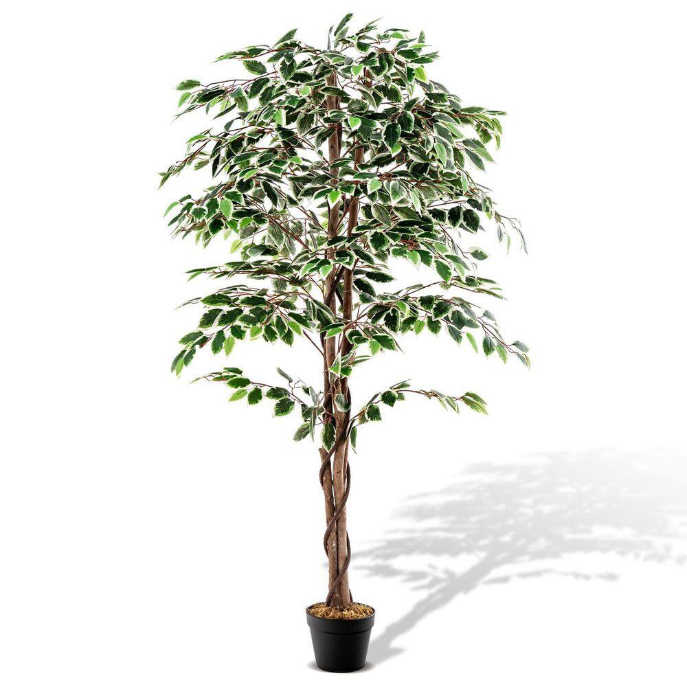 Mecale 5.5 ft. Artificial Ficus Tree with Leaves and Dried Moss in Pot ...