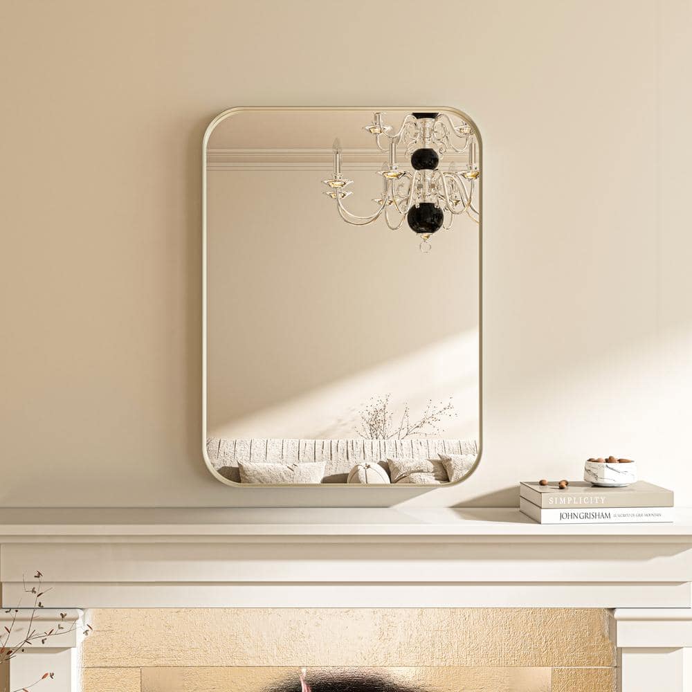 ORGANNICE 22 in. W x 30 in. H Modern Silver Aluminum Framed Rounded ...