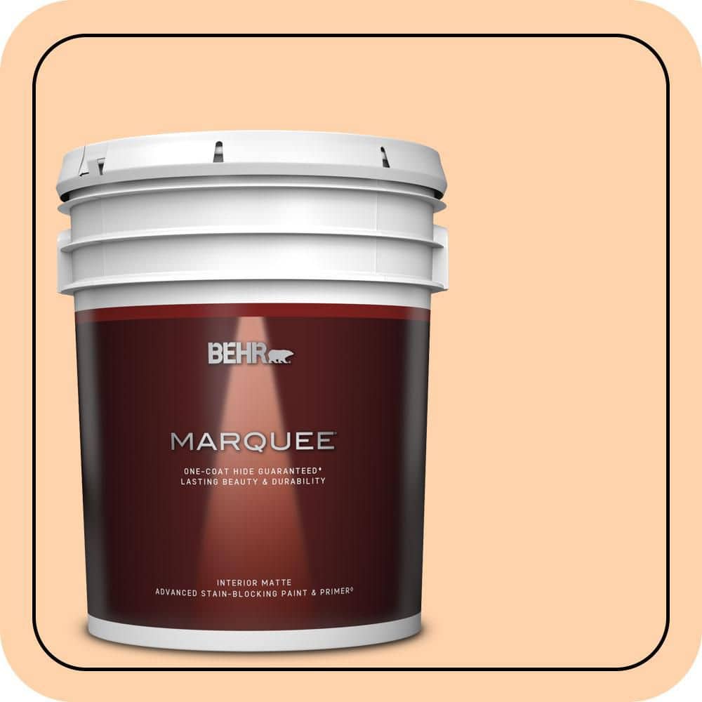BEHR MARQUEE 5 gal. #270A-3 Luminary Matte Interior Paint & Primer ...