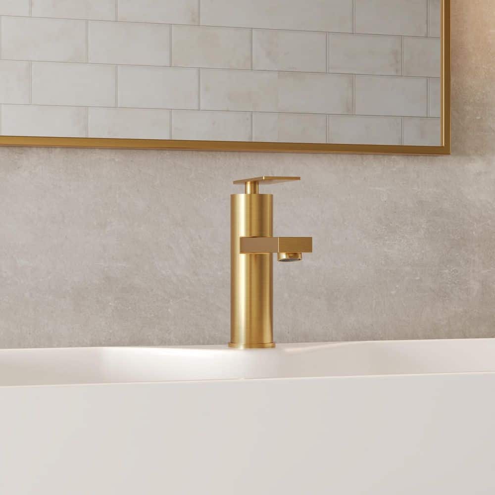 GRANDJOY 6 in. Single Handle Single Hole Bathroom Faucet with Pop-Up ...