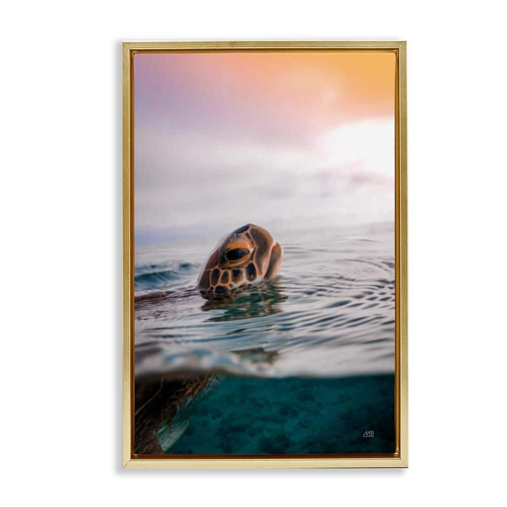 Stupell Industries Turtle Swim at Sunrise by Max Blakesberg Studios ...