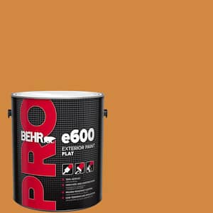 BEHR PRO 5 gal. #290D-6 Acorn Low Luster Exterior Paint PR62305 - The ...