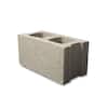 Master Products 8 in. x 8 in. x 16 in. 2-Hole Concrete Block BC010 ...
