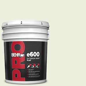 BEHR PRO 5 gal. #M360-1 Glisten Green Low Luster Exterior Paint PR62005 ...