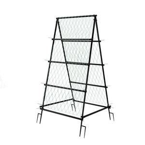 AESOME 63 in. Tall Metal Garden Arch Trellises, Cucumber Trellis with ...