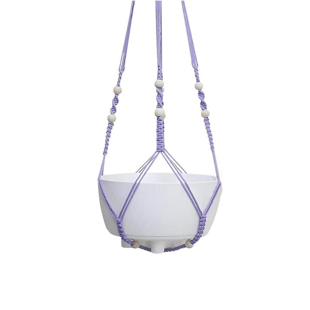 Home Depot Hanging Plants