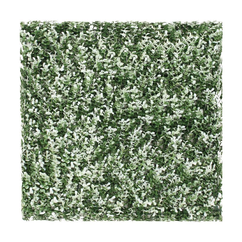 BANSA ROSE 20 in. H x 20 in. W Plastic Artificial Ivy White Buxus Hedge ...
