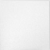 Armstrong CEILINGS Fine Fissured 2 ft. x 2 ft. Tegular Ceiling Tile (64 ...