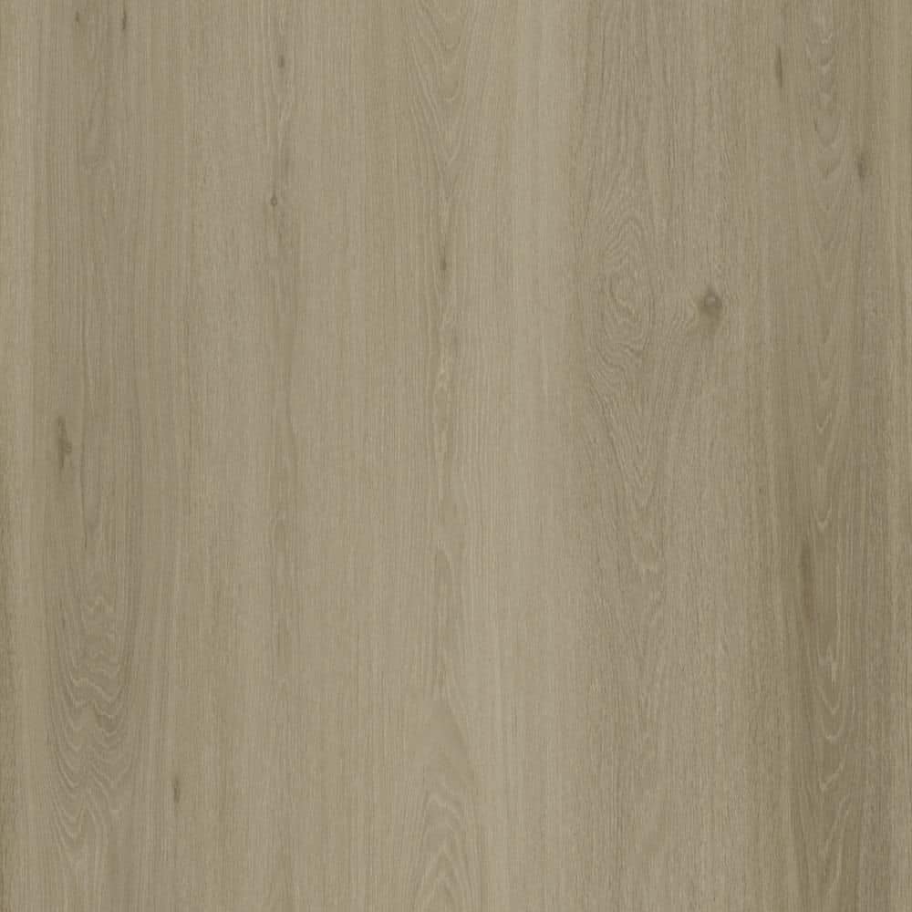SELKIRK FLOORS Brilliant Bryce 20 MIL x 7 in. W x 48 in. L Glue Down ...