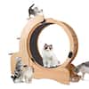 Cat Sports Running Wheel Cats Wheel Wood Climbing Frame Cat Litter ...