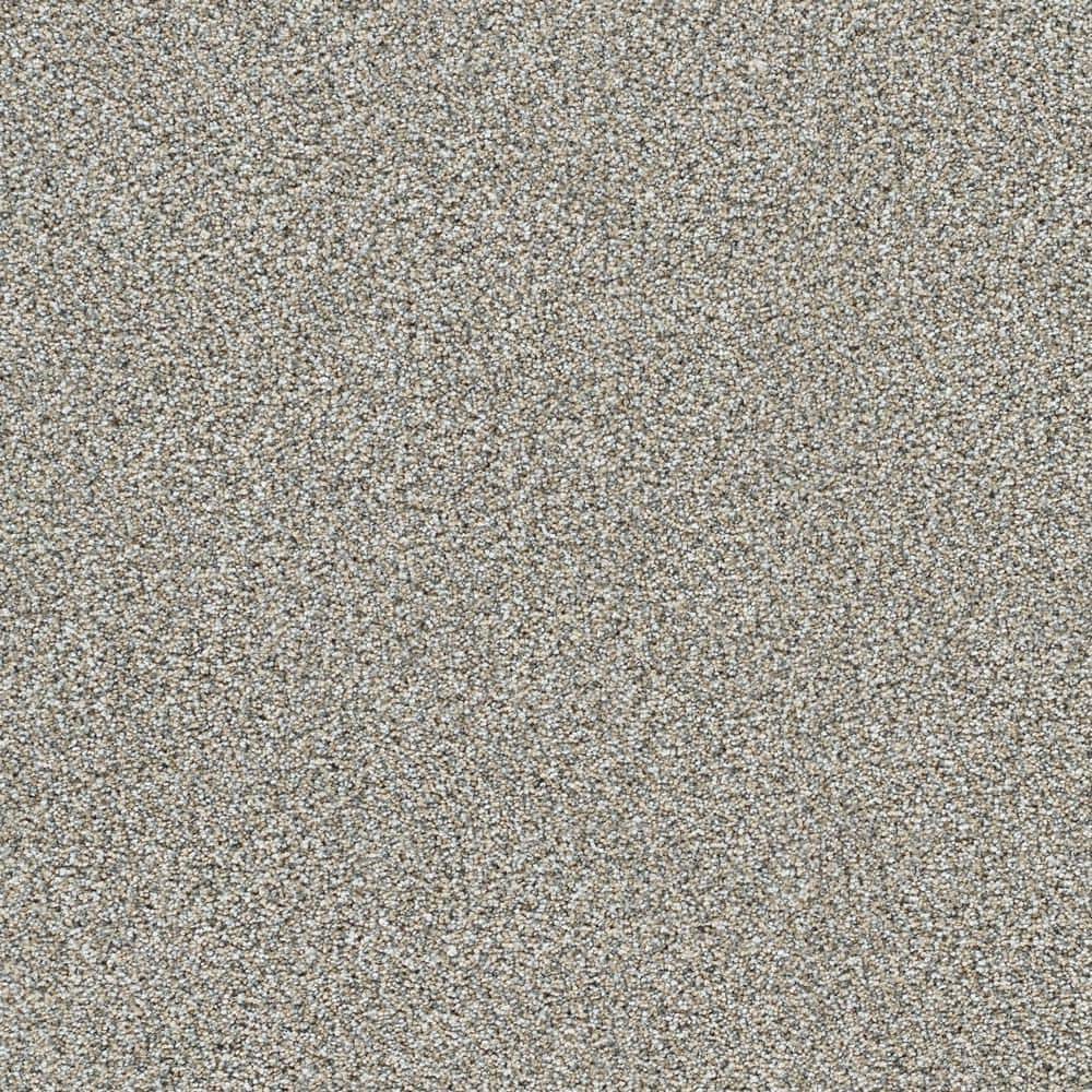 Lifeproof 8 in. x 8 in. Texture Carpet Sample - Evermore III - Color ...