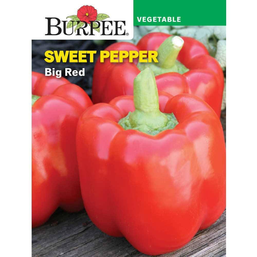 Burpee Garden Pepper Sweet Big Red Vegetable Seed 63986 - The Home Depot