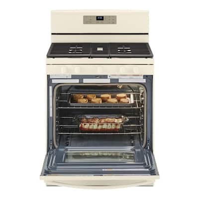 Beige/Bisque - Self Cleaning - LP Convertible - Gas Ranges - Ranges ...