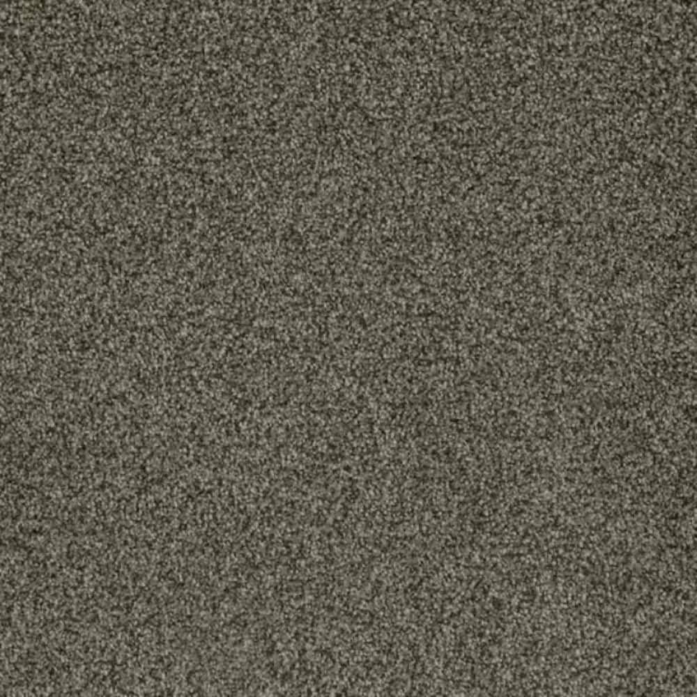 Home Decorators Collection 8 in. x 8 in. Texture Carpet Sample-Trestle ...