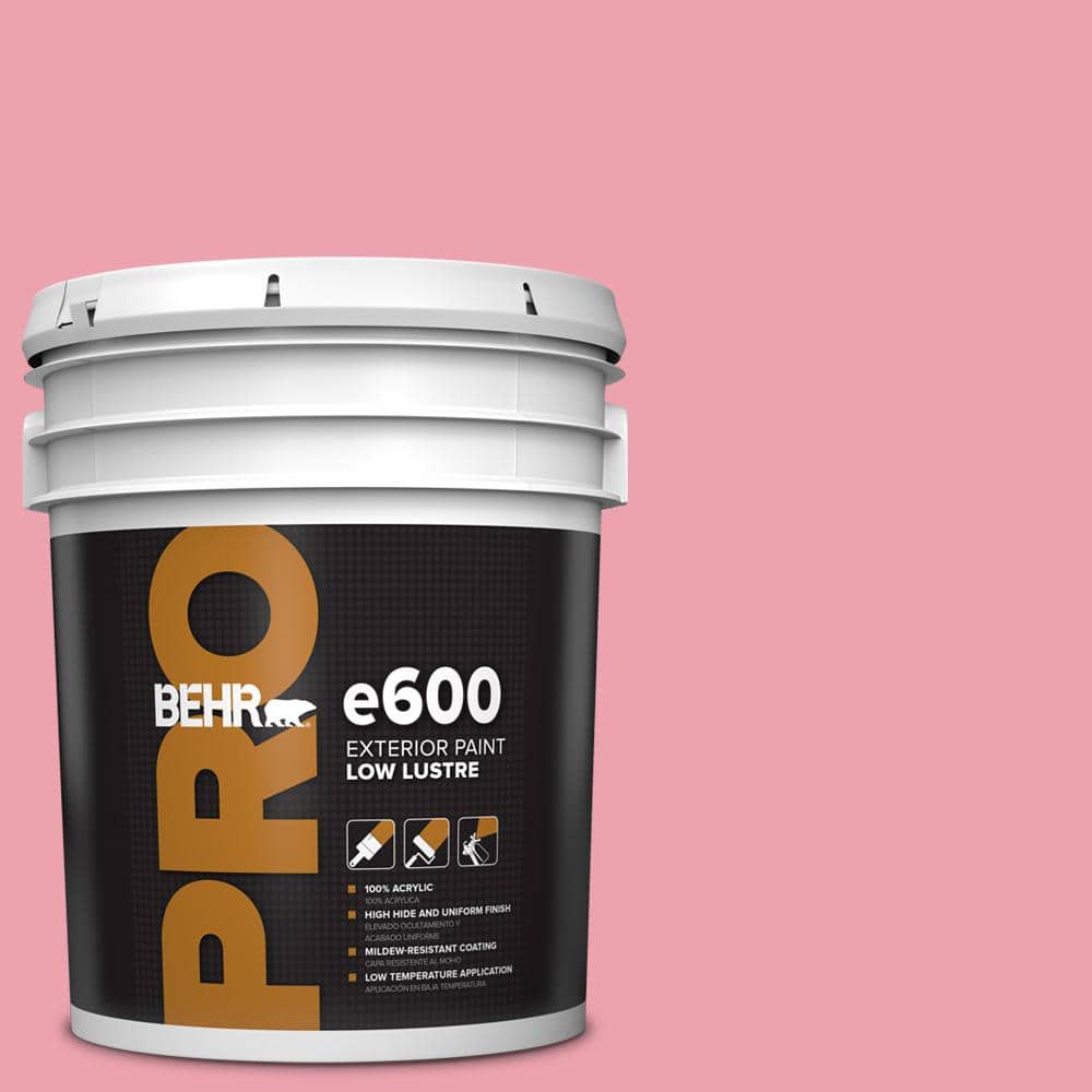 BEHR PRO 5 gal. #P150-3 Pinque Low Luster Exterior Paint PR62005 - The ...
