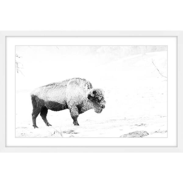 White Bison Art