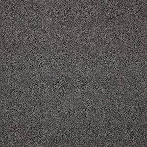 Mohawk 8 in. x 8 in. Texture Carpet Sample - Playful Moments II (S ...