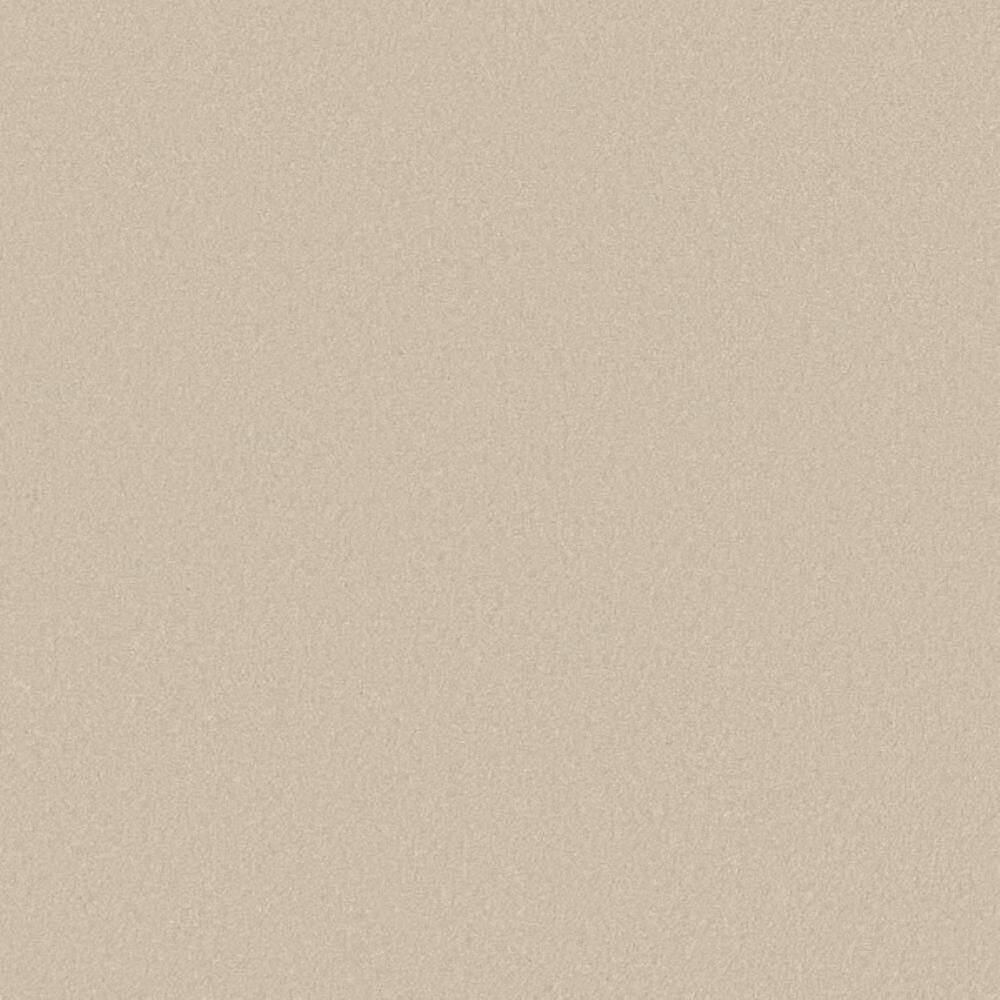 Shaw 8 in. x 8 in. Texture Carpet Sample-Park Royal I-Color Craft Paper ...
