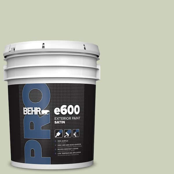 BEHR PRO 5 gal. #PPU10-09 Chinese Jade Satin Exterior Paint PR64005 ...