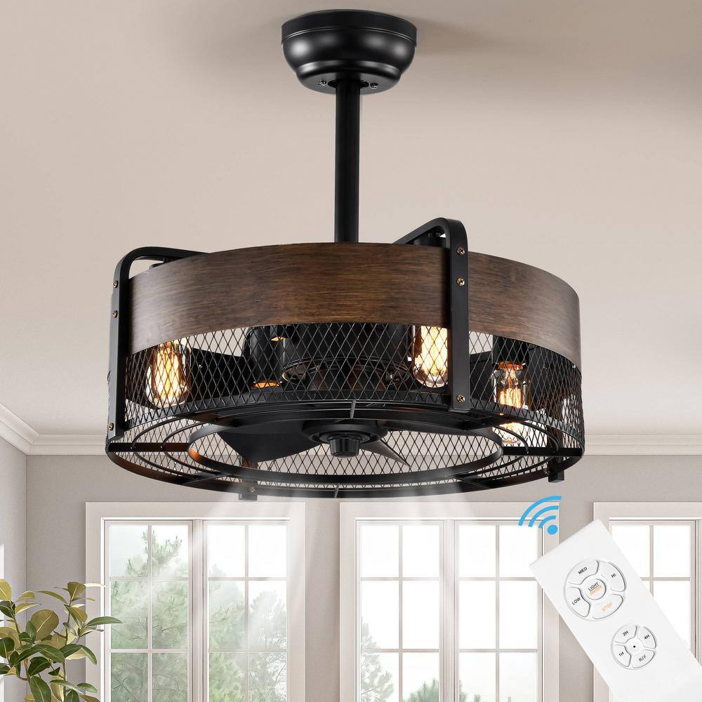 Oaks Aura Valvo 21 in. Indoor Black Caged Ceiling Fan with Lights, 3 ...