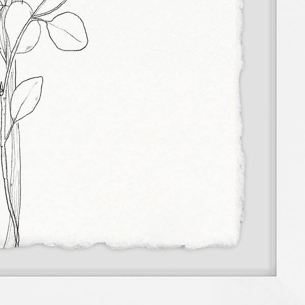 Black And White Nature Border Design