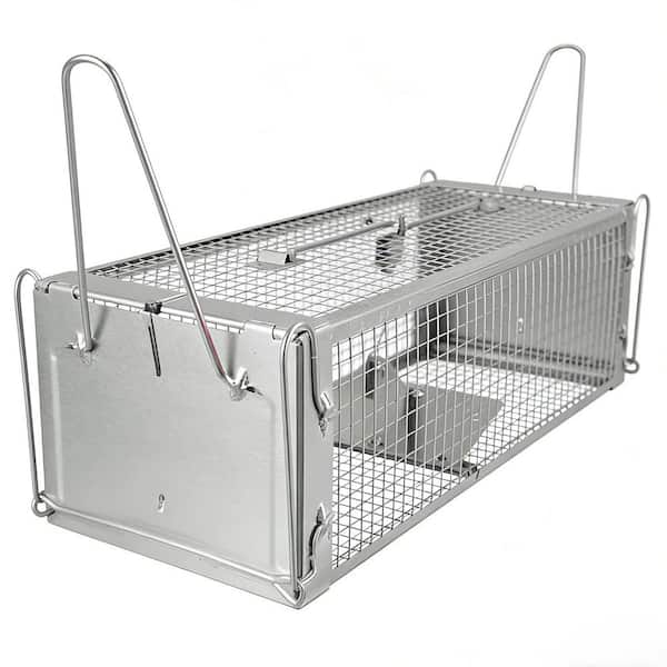 Voles - Traps - The Home Depot