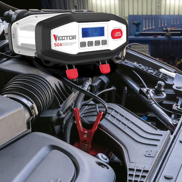 VECTOR 50 Amp Battery Charger/Maintainer VECBC50 - The Home Depot