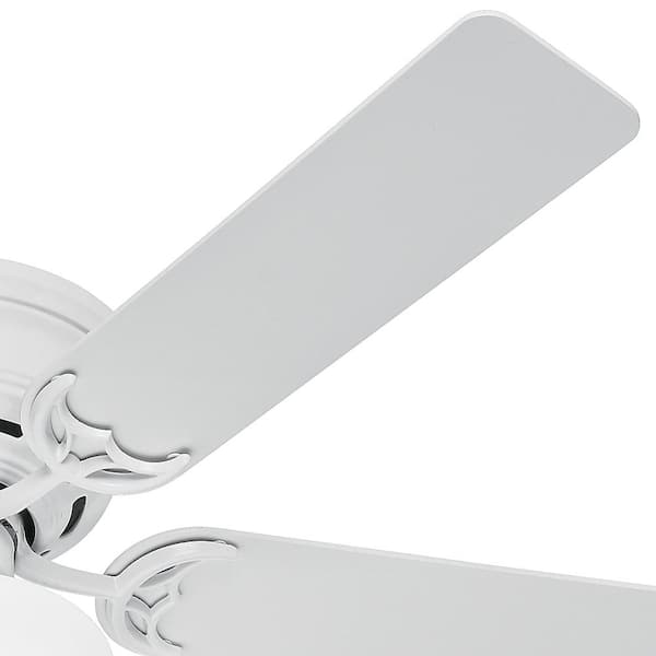 Hunter 48 In Low Profile Plus White Ceiling Fan With Light Kit | Shelly ...