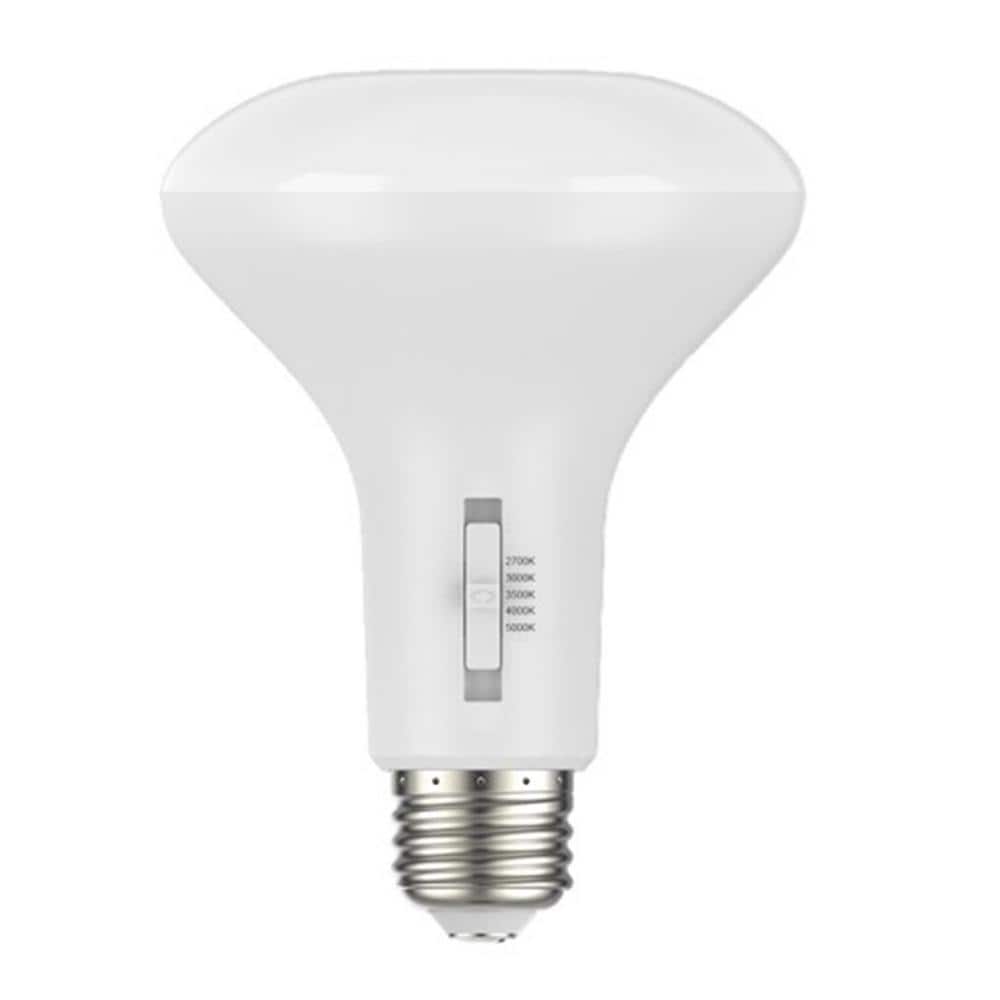 EcoSmart 65-Watt Equivalent BR30 Dimmable LED Flood Light Bulb with ...
