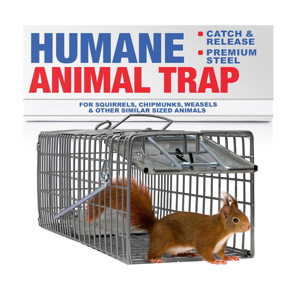 Animal Foot Traps Trade In Your Trap | Winnipeg Humane Society