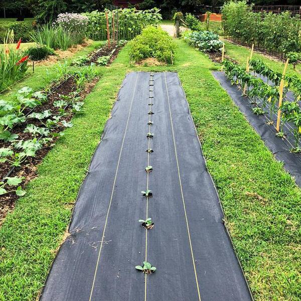 Basketball Yard Guard 3.2 Oz Heavy Duty Weed Barrier Landscape Fabric ...