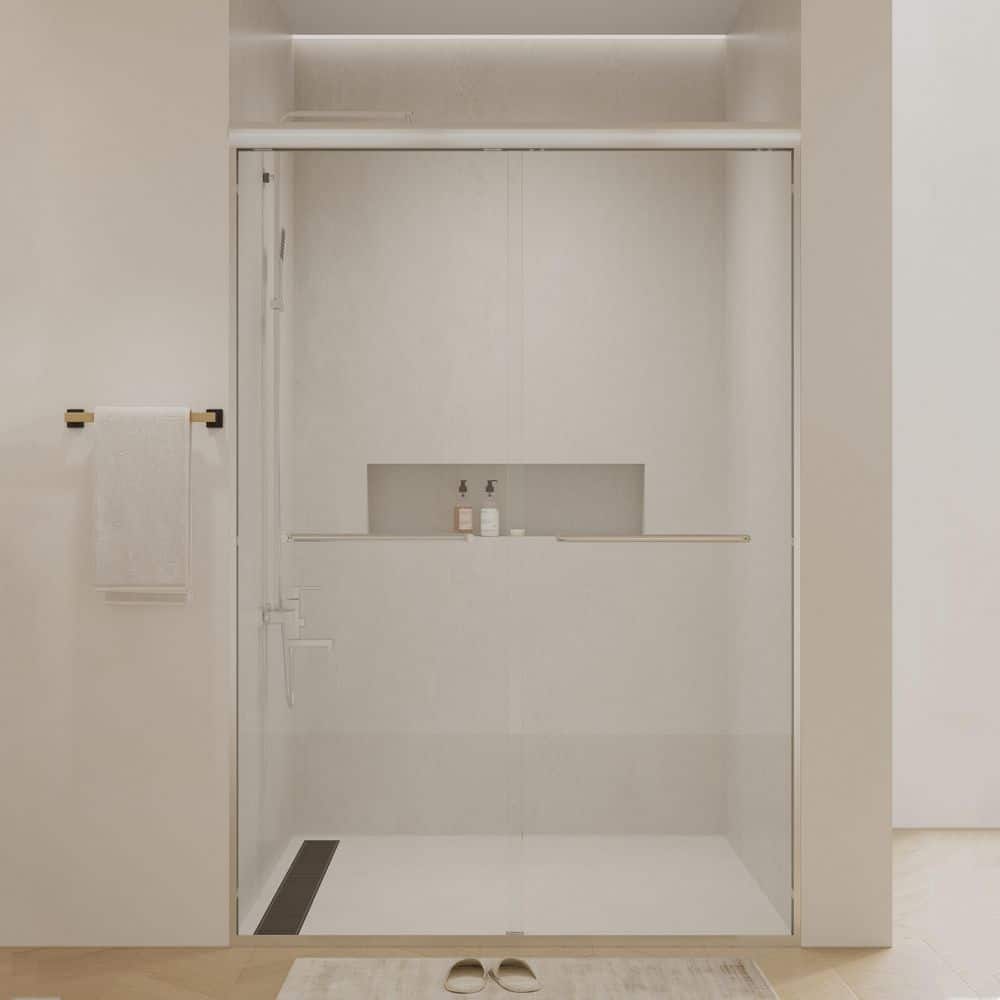 Aionor 48 in. W x 72 in. H Double Sliding Semi-frameless Bypass ...