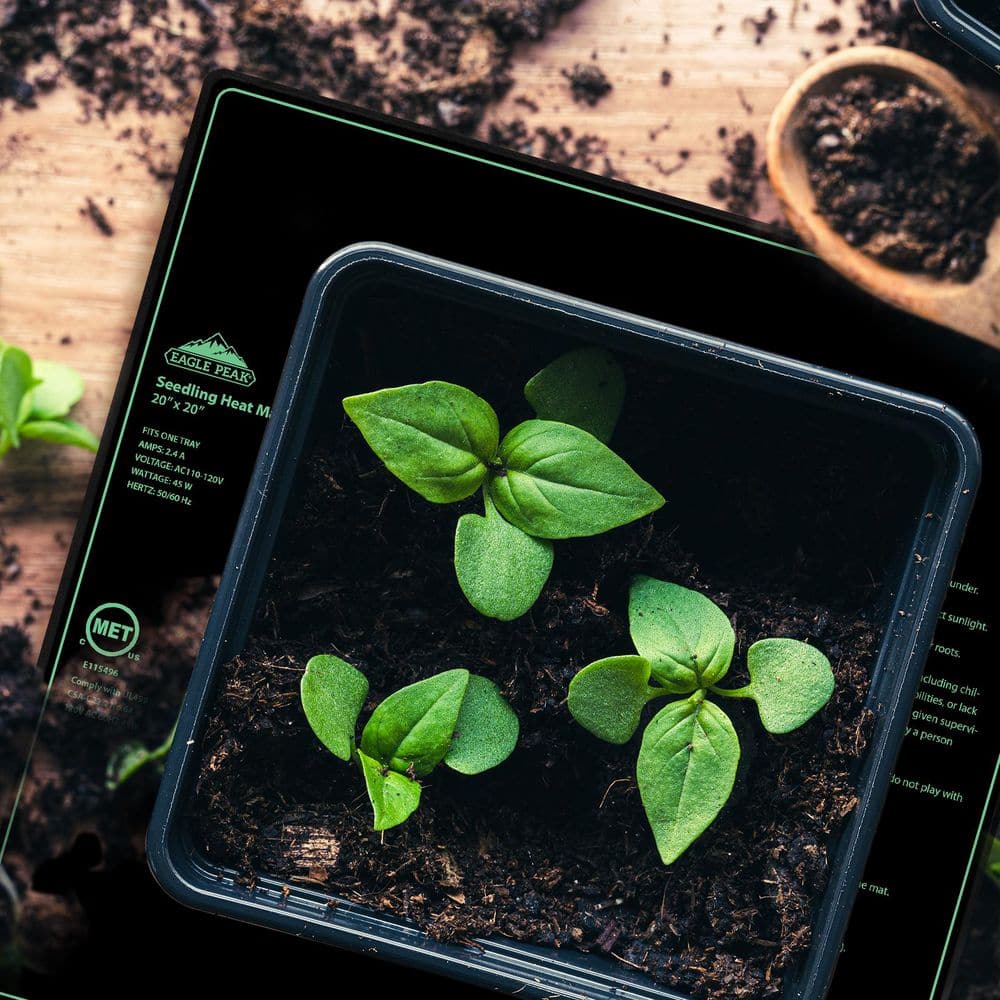 EAGLE PEAK 20 in. x 20 in. Durable Waterproof Seedling Heat Mat ...