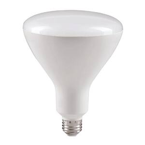 BR40 - LED Light Bulbs - Light Bulbs - The Home Depot