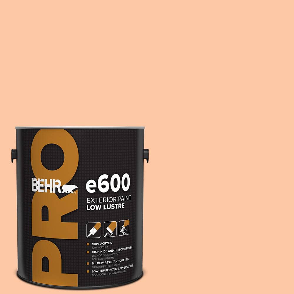 BEHR PRO 1 gal. #250C-3 Fresco Cream Low Luster Exterior Paint PR62001 ...