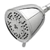 Sprite Showers Regent All-in-One Shower Head Water Filtration System in ...