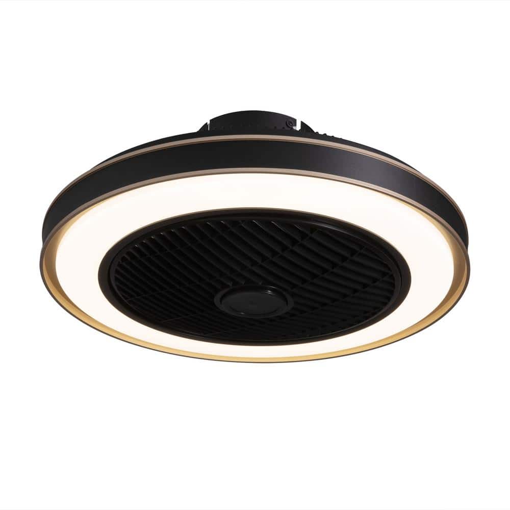 Moxyrano 20 in. Indoor Black Caged Enclosed Ceiling Fan with Integrated ...