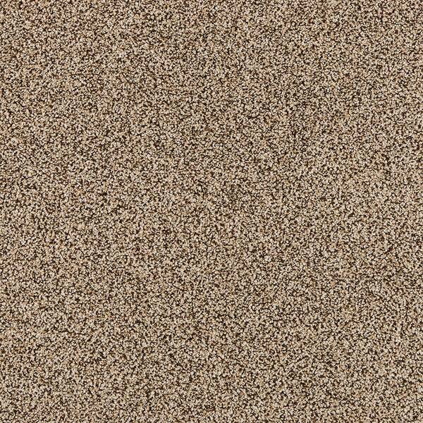 TrafficMaster 8 in. x 8 in. Texture Carpet Sample - Household Hues I ...