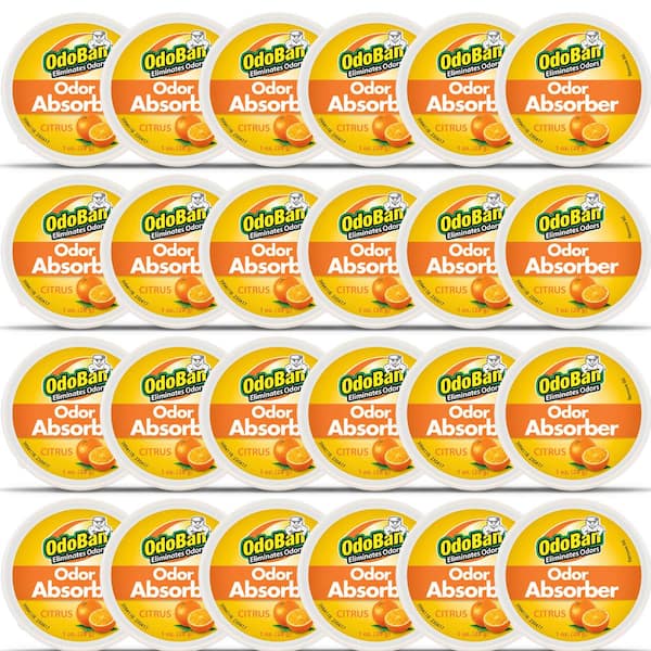 OdoBan 1 oz. Citrus Solid Odor Absorber, Odor Eliminator for Smoke Odor ...
