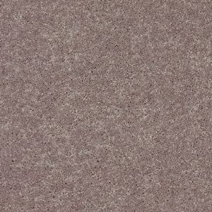 TrafficMaster 8 in. x 8 in. Texture Carpet Sample - Cottage Comforts ...